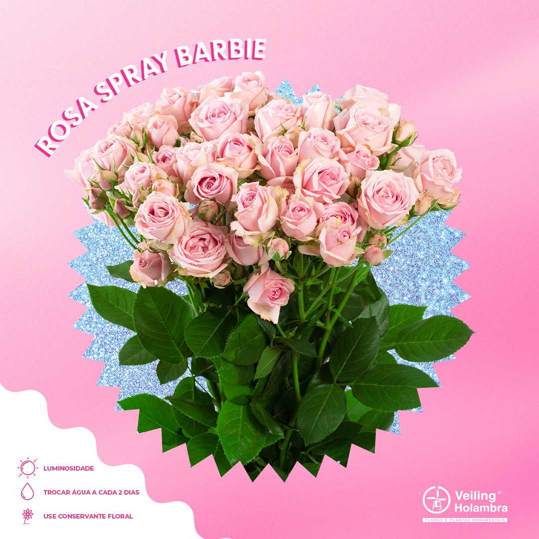 6 flores para deixar seu mundo rosa – Inspire – Veiling Holambra