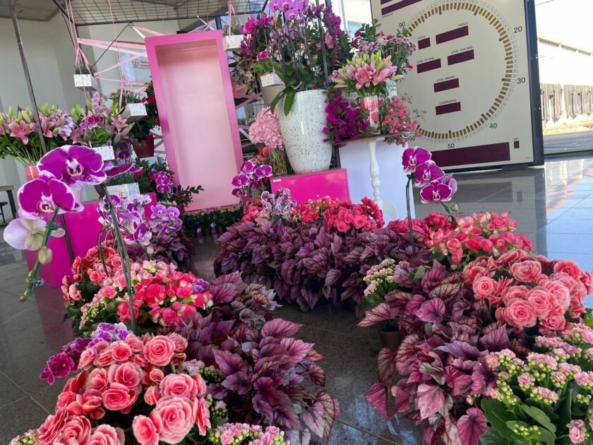 Decoração Barbie com flores: inspiração para festa – Inspire – Veiling ...